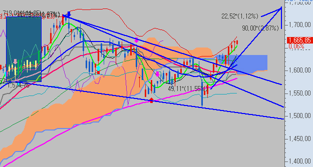 백리향의 시장읽기 소액투자자의 슬픈현실 선옵전문가분석 선물옵션 팍스넷 증권포털